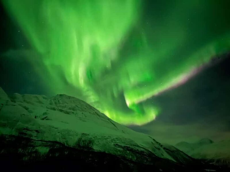 Full Night Magic of the Northern Lights in Tromso - Key Points