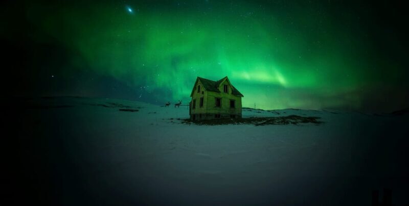 Full Night Magic of the Northern Lights in Tromso - Who Will Love This Tour?