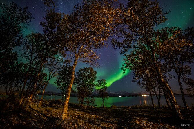 Full Night Magic of the Northern Lights in Tromso - Introduction