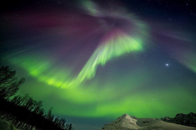 Full Night Magic of the Northern Lights in Tromso - Pricing and Value