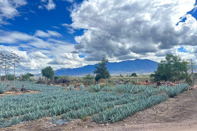 FULL Oaxaca Experience (Small Groups) - FAQ – Your Practical Questions Answered