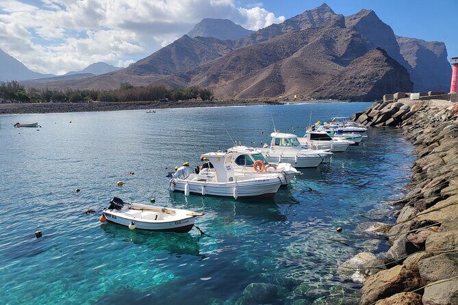 Full Private Tour of Gran Canaria with Natural Pools - FAQs