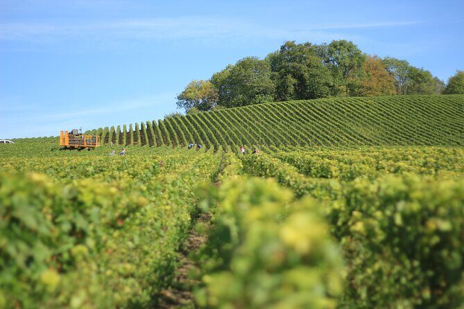 Full Rioja Wine Tour with Lunch from Bilbao Private Tour - Exploring the Full Rioja Wine Tour from Bilbao: An Authentic Journey into Spain’s Wine Heartland