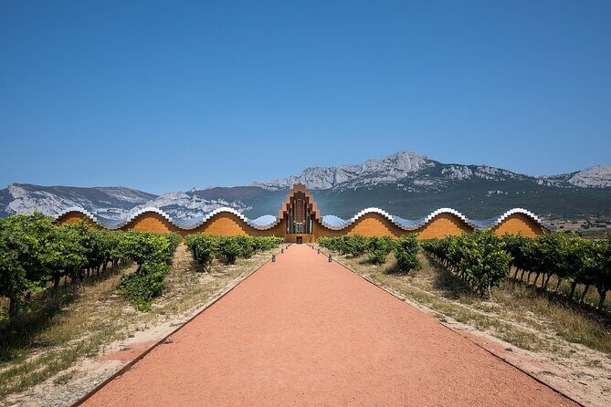 Full Rioja Wine Tour with Lunch from Bilbao Private Tour - Key Points