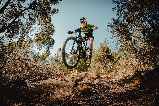 Full Suspension Mountain Bike Rental in Breckenridge - The Bike Rental Experience: What You Get