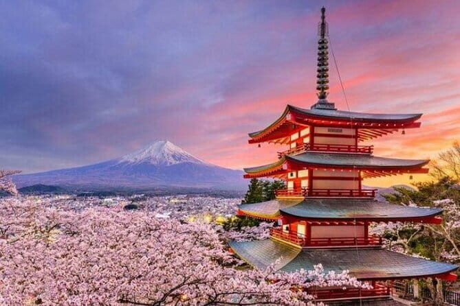 Full Tokyo: Meiji Shrine, Imperial Palace, Asakusa & Skytree - Who Should Take This Tour?