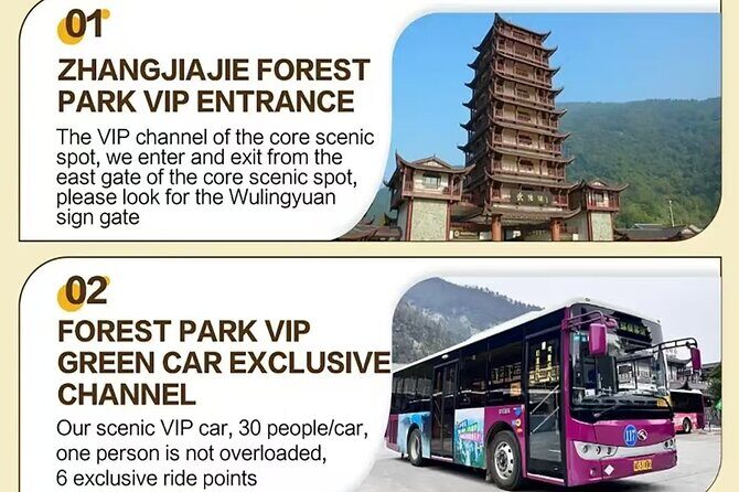 Full VIP Zhangjiajie National Forest Park Day Tour - An In-Depth Look at the Tour Experience