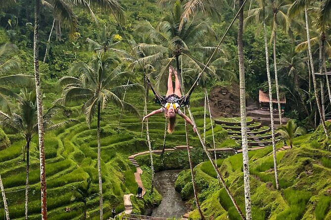 Fullday Bali Ubud Tour - Private All Inclusive - Final Thoughts