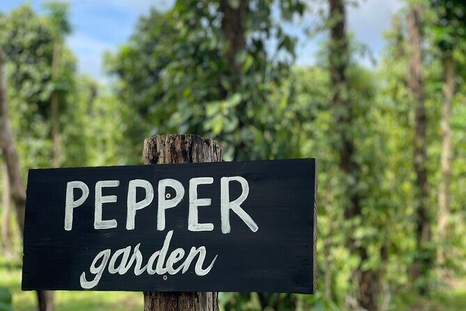 Full-Day Private Tour in Starfish Beach and Phu Quoc Northern Part - Why Choose This Tour?