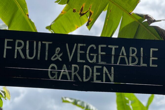 Full-Day Private Tour in Starfish Beach and Phu Quoc Northern Part - How the Day Unfolds