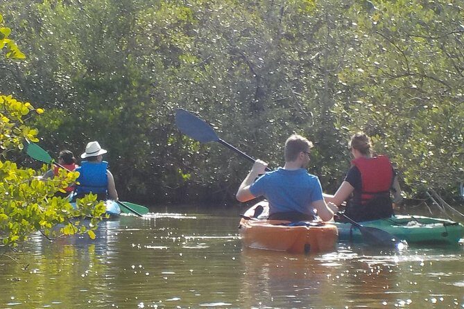 Fully Guided Kayaking Backwater Manatee and Dolphin Tour - An Introduction to the Experience