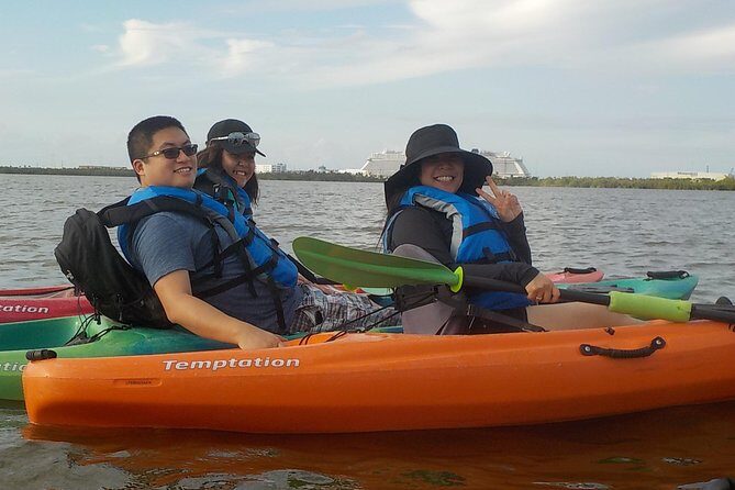 Fully Guided Kayaking Backwater Manatee and Dolphin Tour - Analyzing the Value and Experience