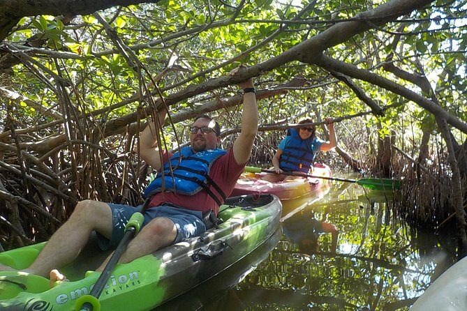 Fully Guided Kayaking Backwater Manatee and Dolphin Tour - FAQs