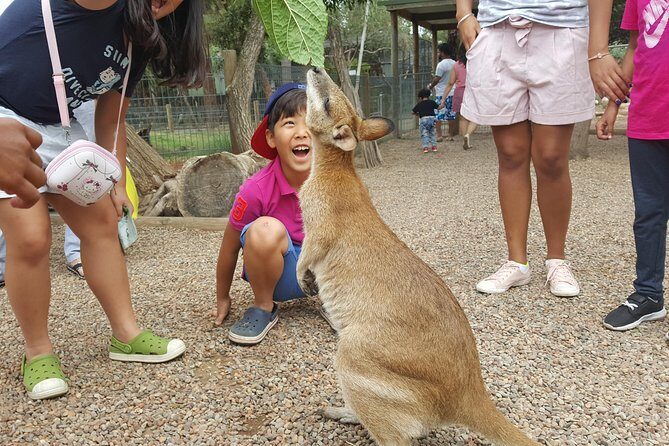 Fully Inclusive Blue Mountains Private Tour inc Scenic World & Featherdale Entry - Frequently Asked Questions
