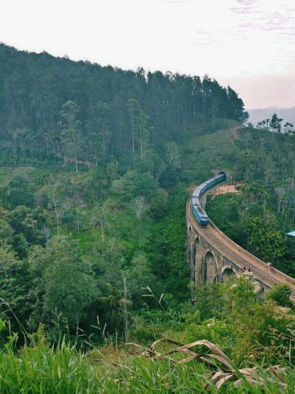 Fully-Loaded Sri Lanka | FREE trip to Sigiriya and Dambulla - Who This Tour Is Best For