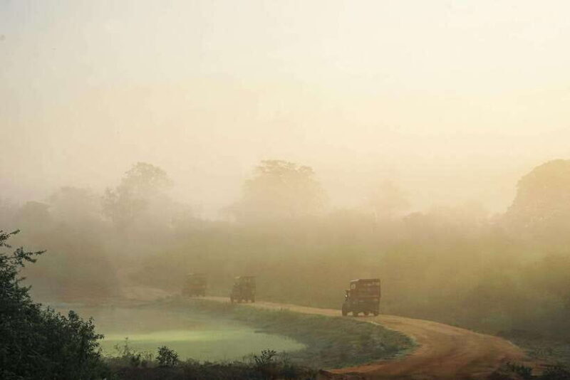 Fully-Loaded Sri Lanka | FREE trip to Sigiriya and Dambulla - Final Thoughts