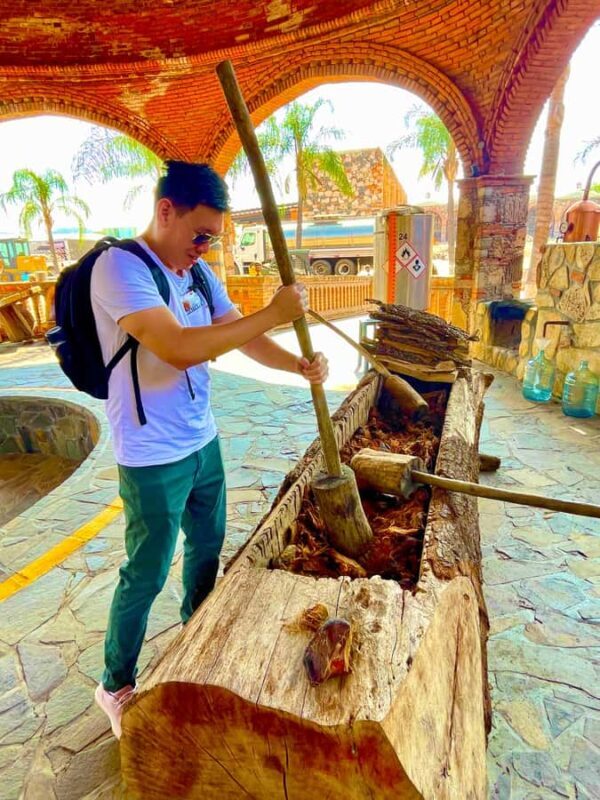 Fully-Private Half-Day Tequila Tour - An In-Depth Look at the Tour Experience