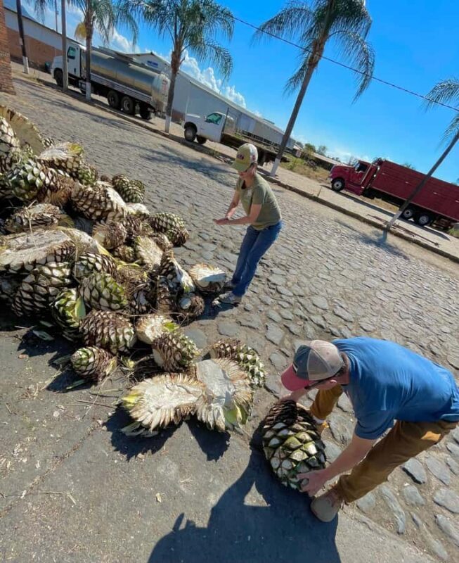 Fully-Private Half-Day Tequila Tour - The Sum Up: Who Should Take This Tour?