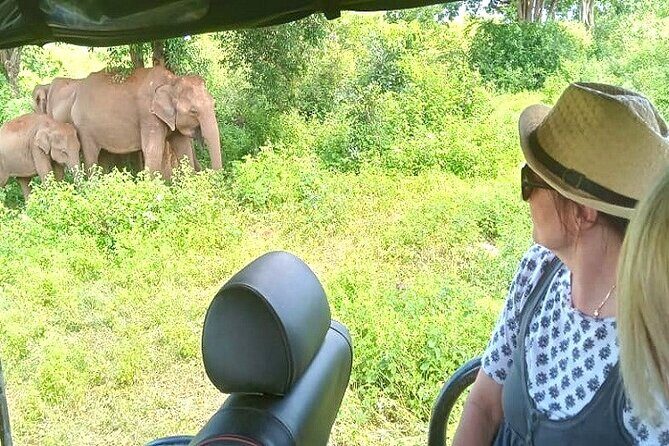 Fully Private Udawalawe National Park Safari Tour - Key Points