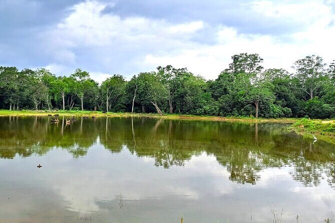 Fully Private Udawalawe National Park Safari Tour - FAQ