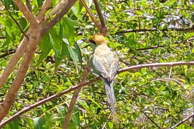 Fully Private Udawalawe National Park Safari Tour - Final Thoughts