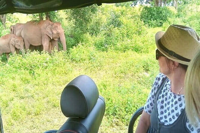 Fully Private Udawalawe National Park Safari Tour - Key Points