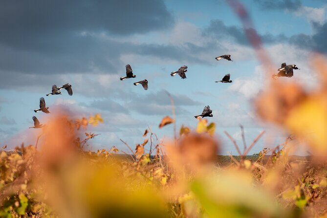 Fully Tailored Private Bespoke Tour of Margaret River - Final Thoughts