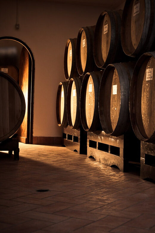 Fumane: Valpolicella wine tasting tour in a medieval court - A Walk Through the Experience