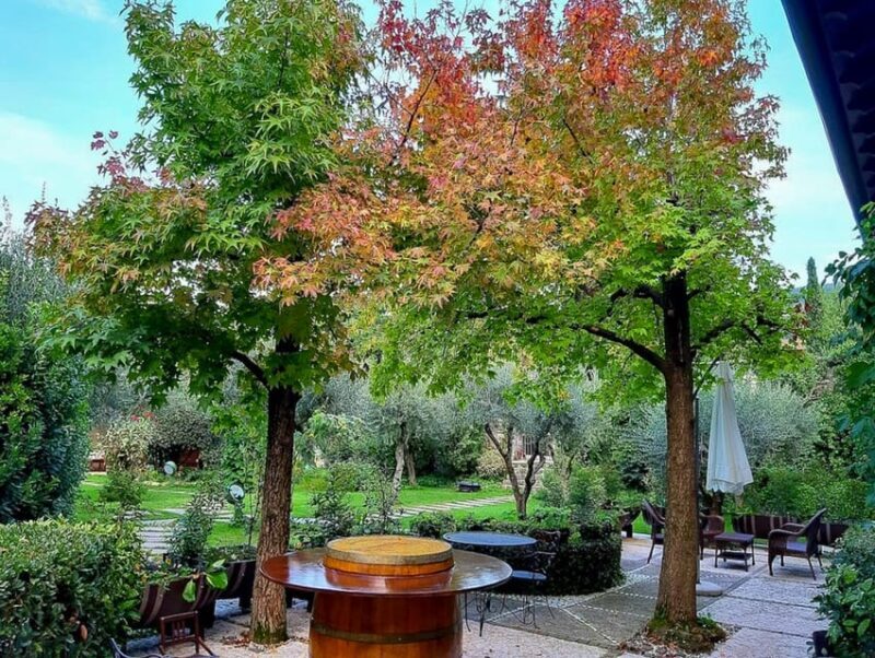 Fumane: Valpolicella wine tasting tour in a medieval court - Who Would Love This Tour?