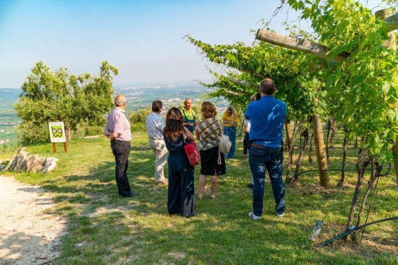 Fumane: Wine Tasting Experience in Valpolicella Valley - The Sum Up