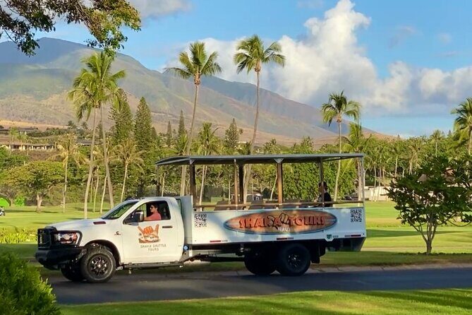 Fun & Affordable! West Maui Open-Air Sightseeing Tour! - A Detailed Look at the Experience