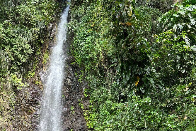 Fun and Exhilarating Experience at Dark View Falls - Fun and Exhilarating Experience at Dark View Falls