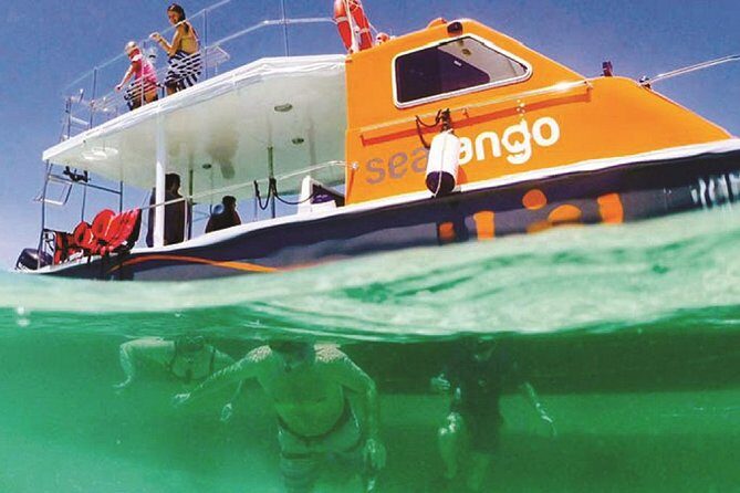 Fun Boat Snorkeling and Island Visit from Kota Kinabalu - Introduction: Why This Tour Might Be Perfect for You