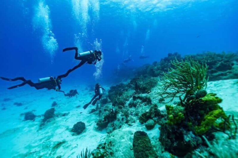 Fun Dive in Cozumel Dive Machine Experience - Who Will Love This Tour?