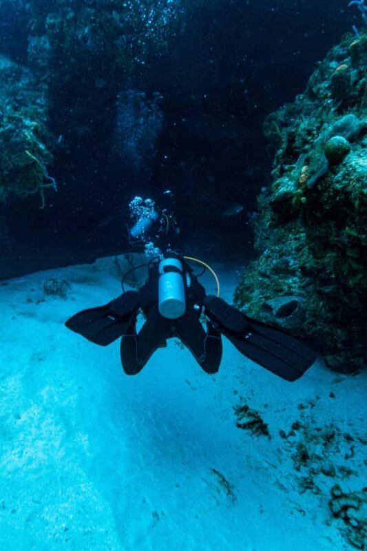 Fun Dive in Cozumel Dive Machine Experience - FAQs