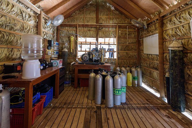 Fun Dives For Certified Divers - Who Should Consider This Tour?