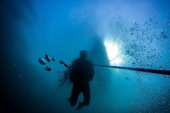 Fun Dives For Certified Divers - Who Would Love This?