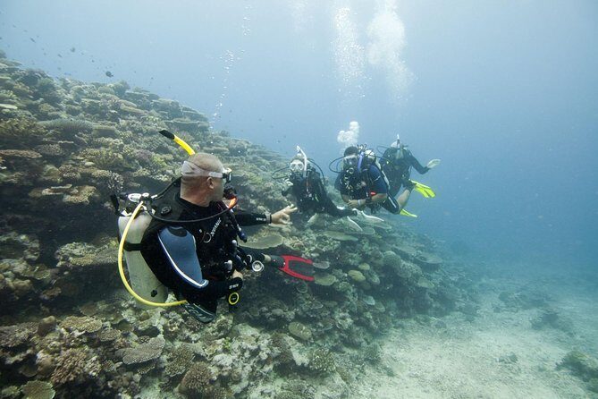 Fun Dives For Certified Divers - Who Should Consider This Tour