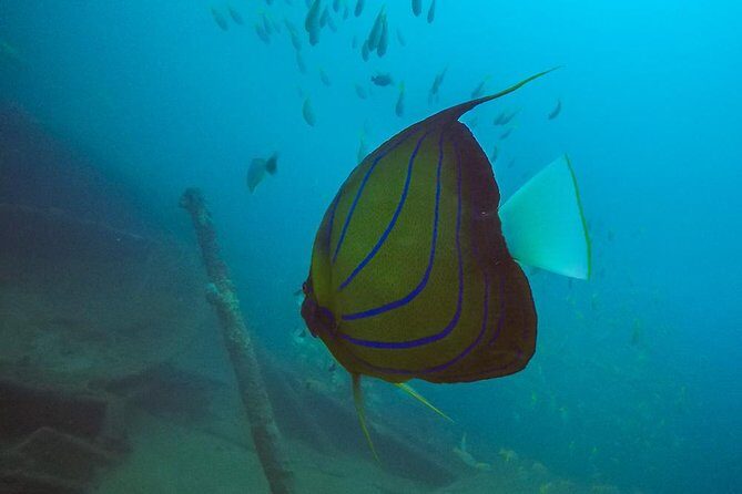 Fun Dives For Certified Divers - FAQ