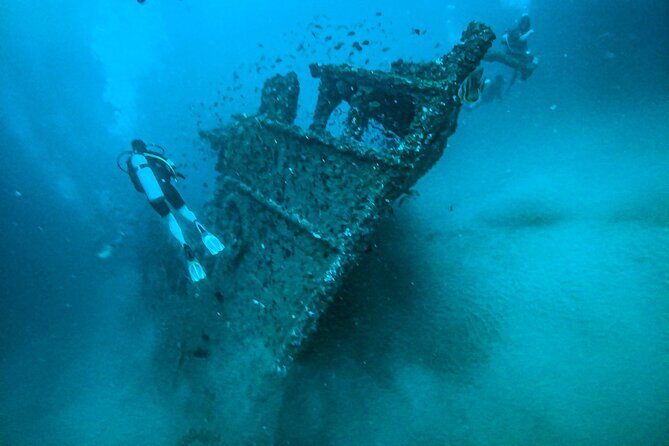 Fun Dives For Certified Divers - A Closer Look at the Galle Diving Experience