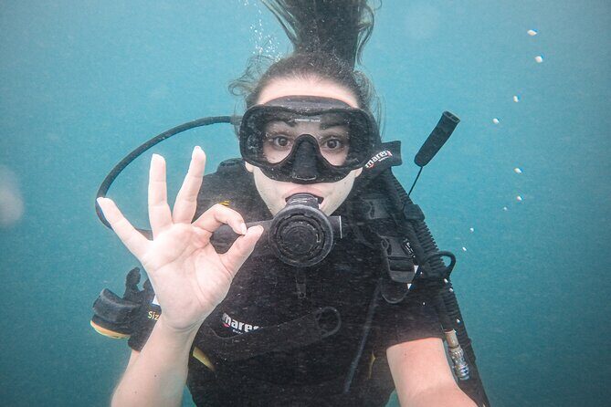Fun Dives For Certified Divers - The Value of the Experience