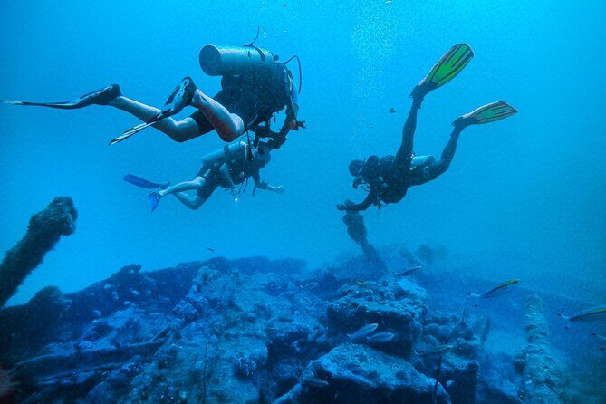 Fun Dives For Certified Divers - Authentic Encounters That Matter