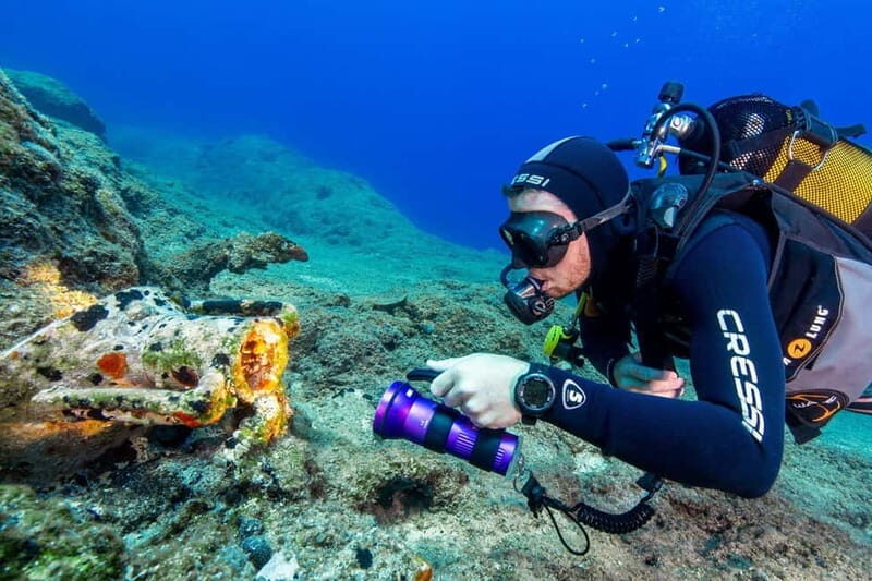 Fun Diving at Amorgos Diving Center - A Closer Look at the Experience