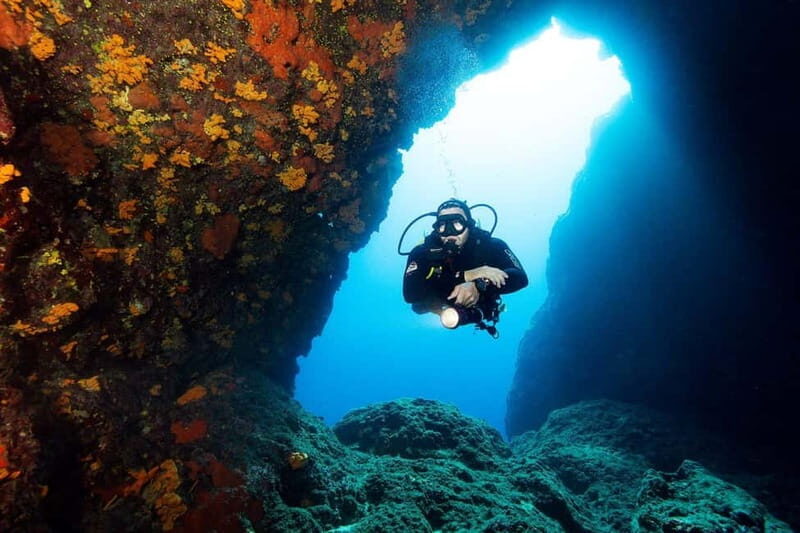 Fun Diving at Amorgos Diving Center - The Sum Up: Worth It for Curious Divers and Sea-Lovers