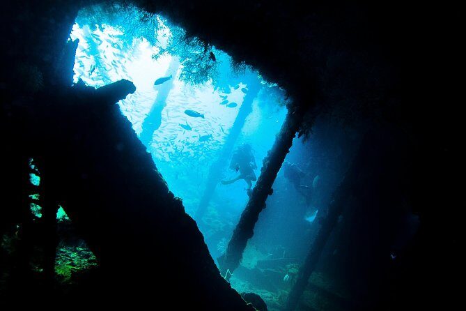 Fun Diving Tulamben Bali - For Certified Divers - Exploring the Tour in Detail