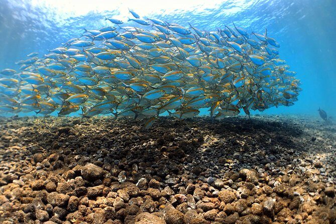 Fun Diving Tulamben Bali - For Certified Divers - Final Thoughts