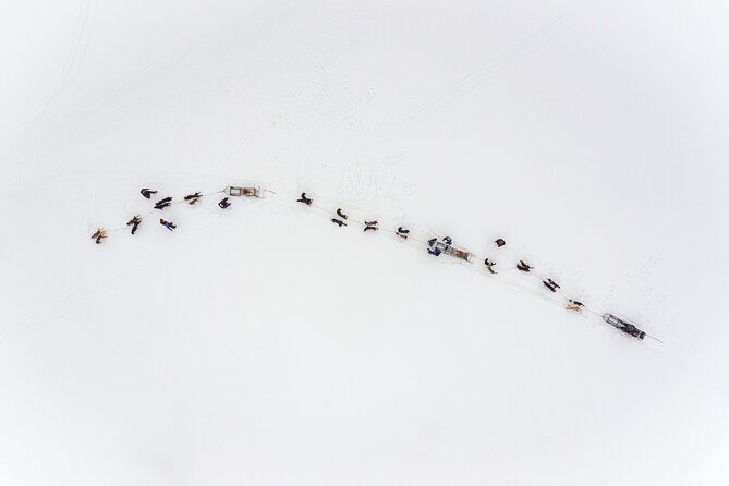 Fun & Easy Dog Sledding Adventure - Early Bird Tour - Frequently Asked Questions