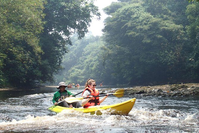 Fun Filled Kayaking Adventure in Kuching - An Honest Look at the Kuching Kayaking Tour