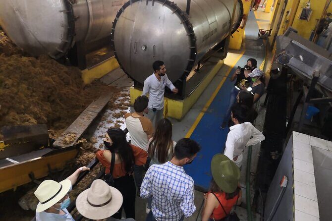Fun Full and Cheap Tequila Tour from GDL on Thursdays - Authentic Experiences and the Real Value