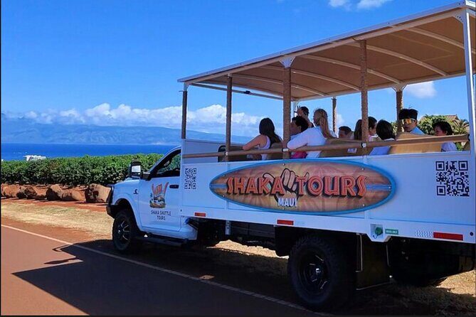 Fun! Open-Air Banyan Tree Forest & Blowhole Sight-Seeing MauiTour - The Experience: How It Feels and What It Means for Travelers